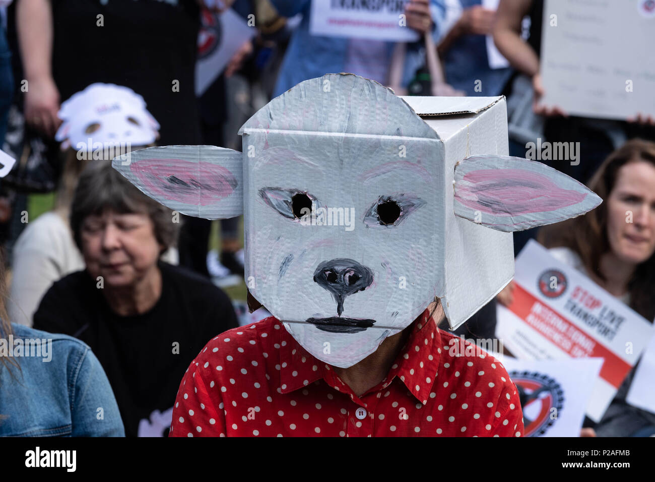 Animal injustice hi-res stock photography and images - Alamy