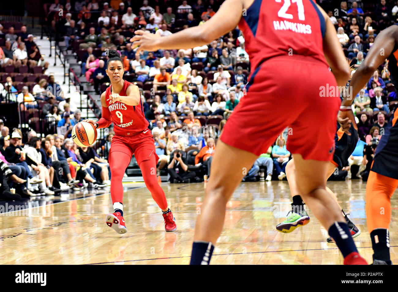 Connecticut, USA. 13th June, 2018. Washington Mystic guard, Natasha ...