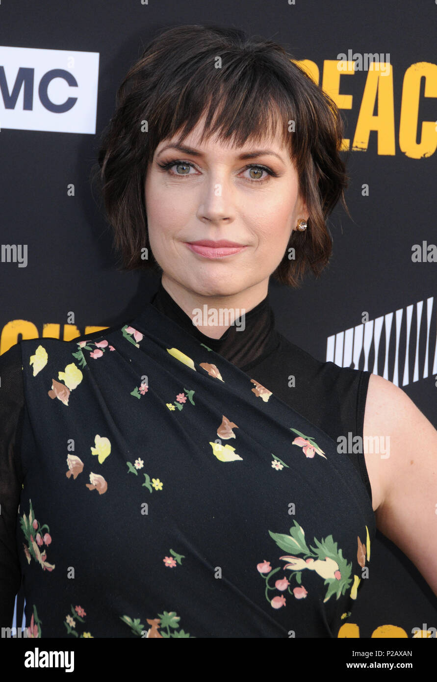 LOS ANGELES, CA - JUNE 14: Actress Julie Ann Emery attends AMC's ...