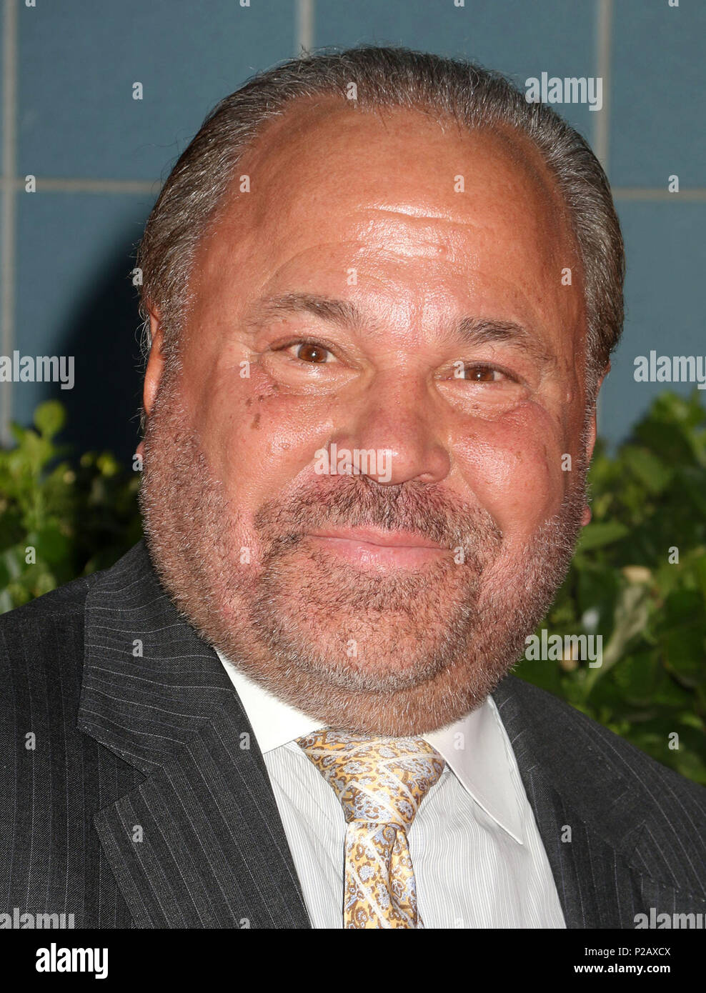 New York City, New York, USA. 14th June, 2018. BO DIETL attends the New ...