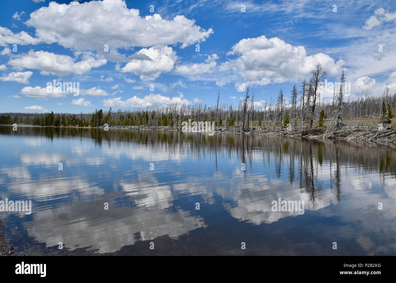 Yellowstone wonders hi-res stock photography and images - Alamy