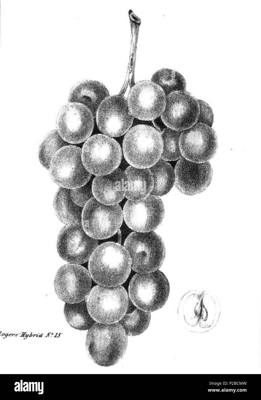 15 mon Black and White Stock Photos & Images - Alamy