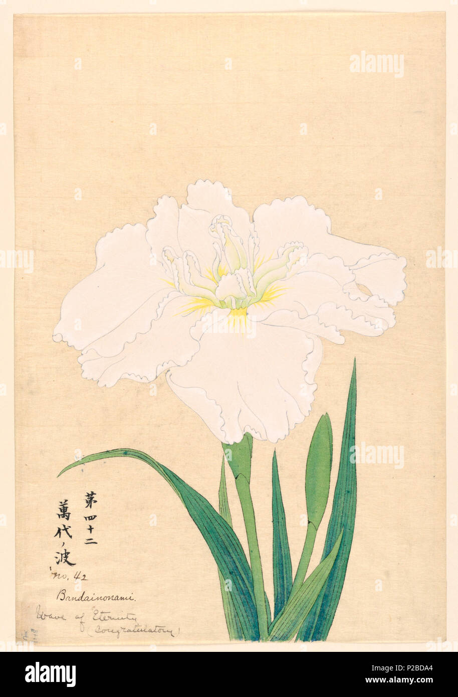 Japanese pattern print floral hi-res stock photography and images - Alamy