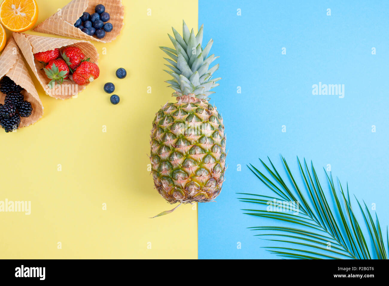 A tropical fruit is a pineapple and a palm branch on a yellow blue ...