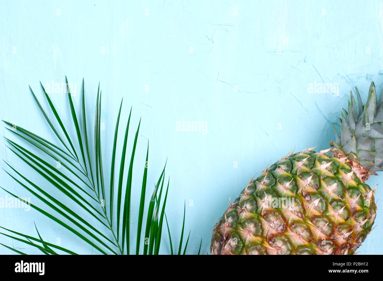 Tropical Pineapple Fruit. palm branch on a blue background. Free space ...