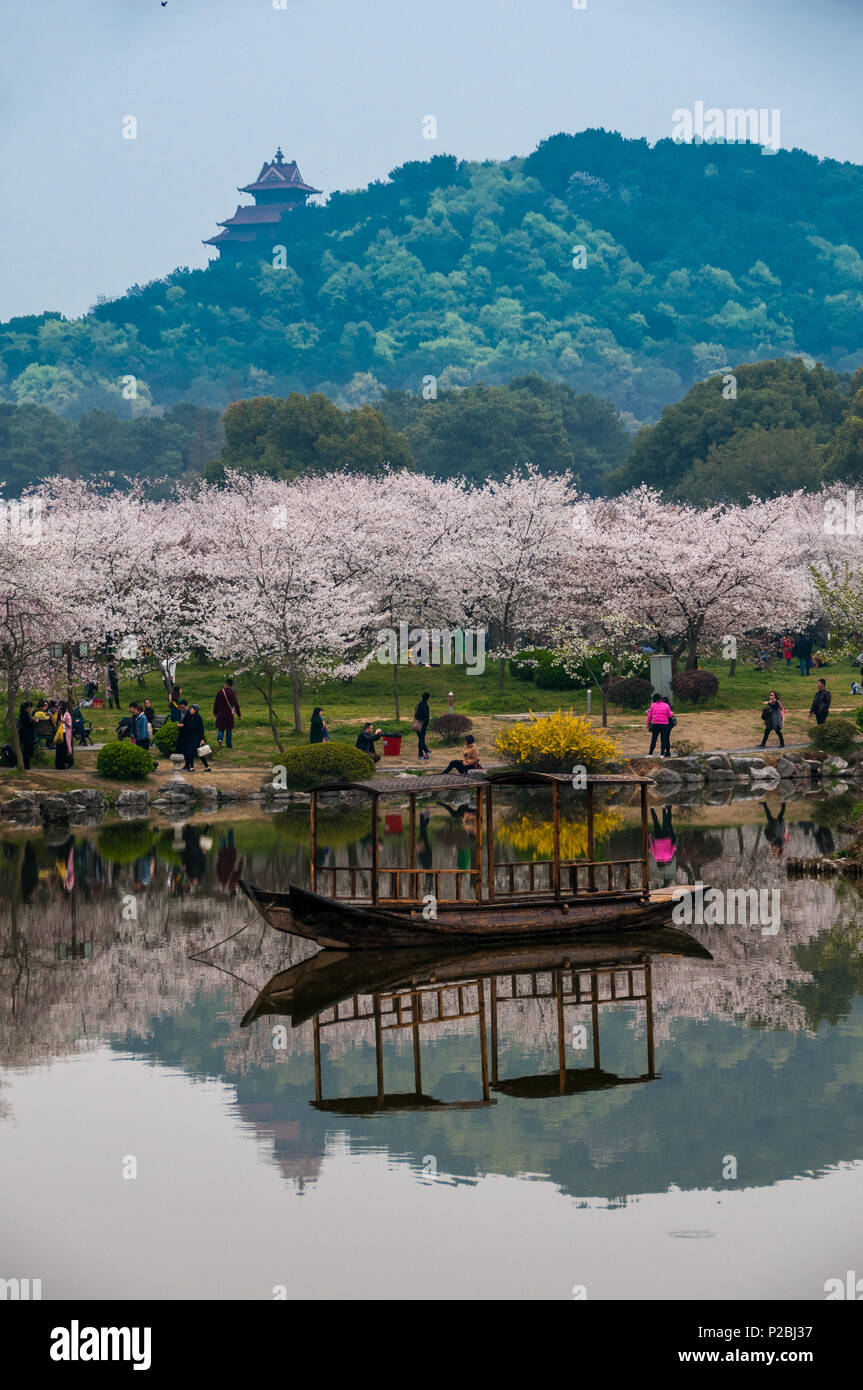Cherry blossom season at Moshan in the East Lake Scenic Area, Wuhan ...