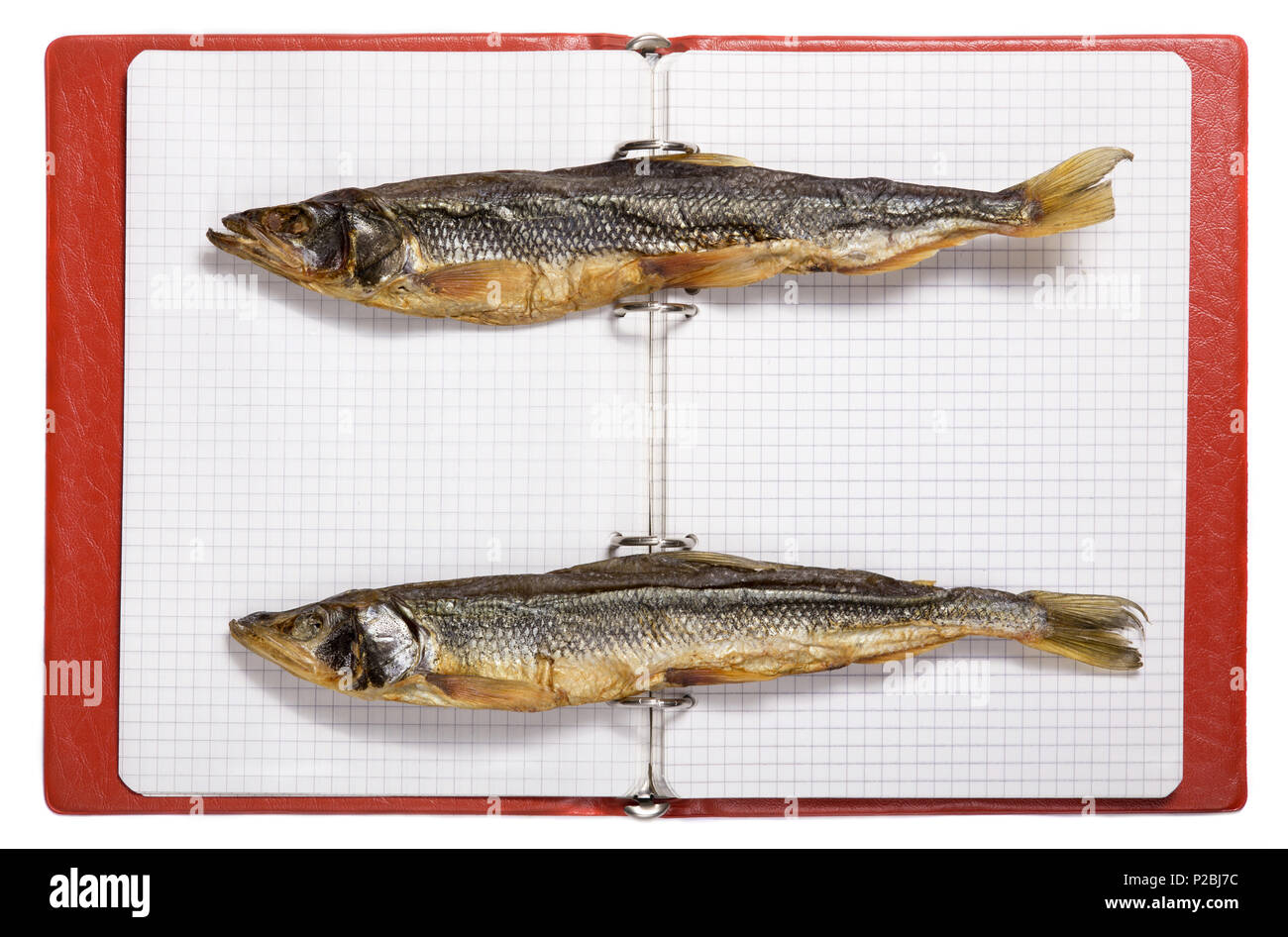 Two dried smelt on sheets of a notebook in a cage Stock Photo - Alamy