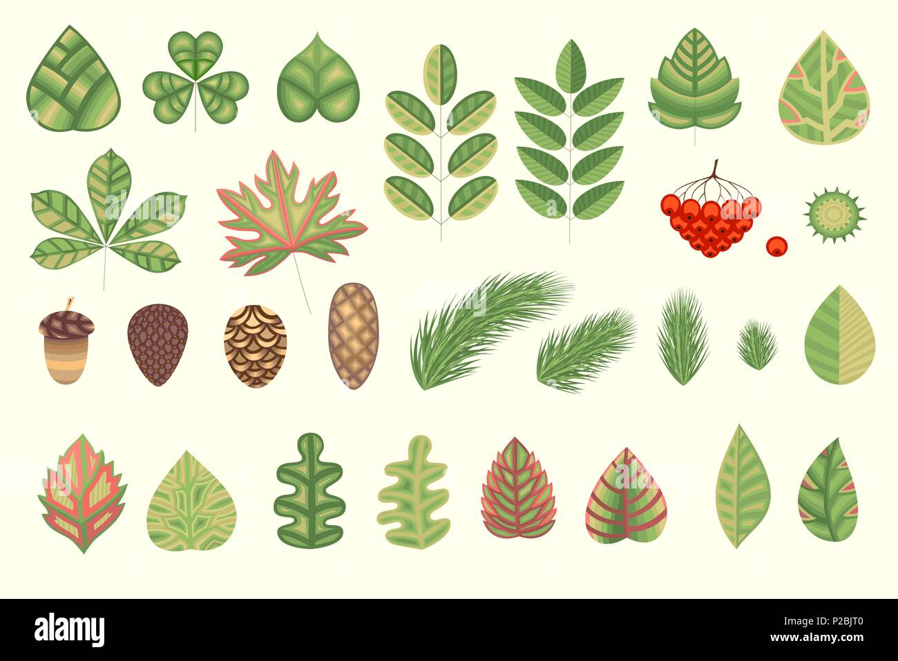 A natural herbal collection for your creativity. Stylized leaves, plant ...
