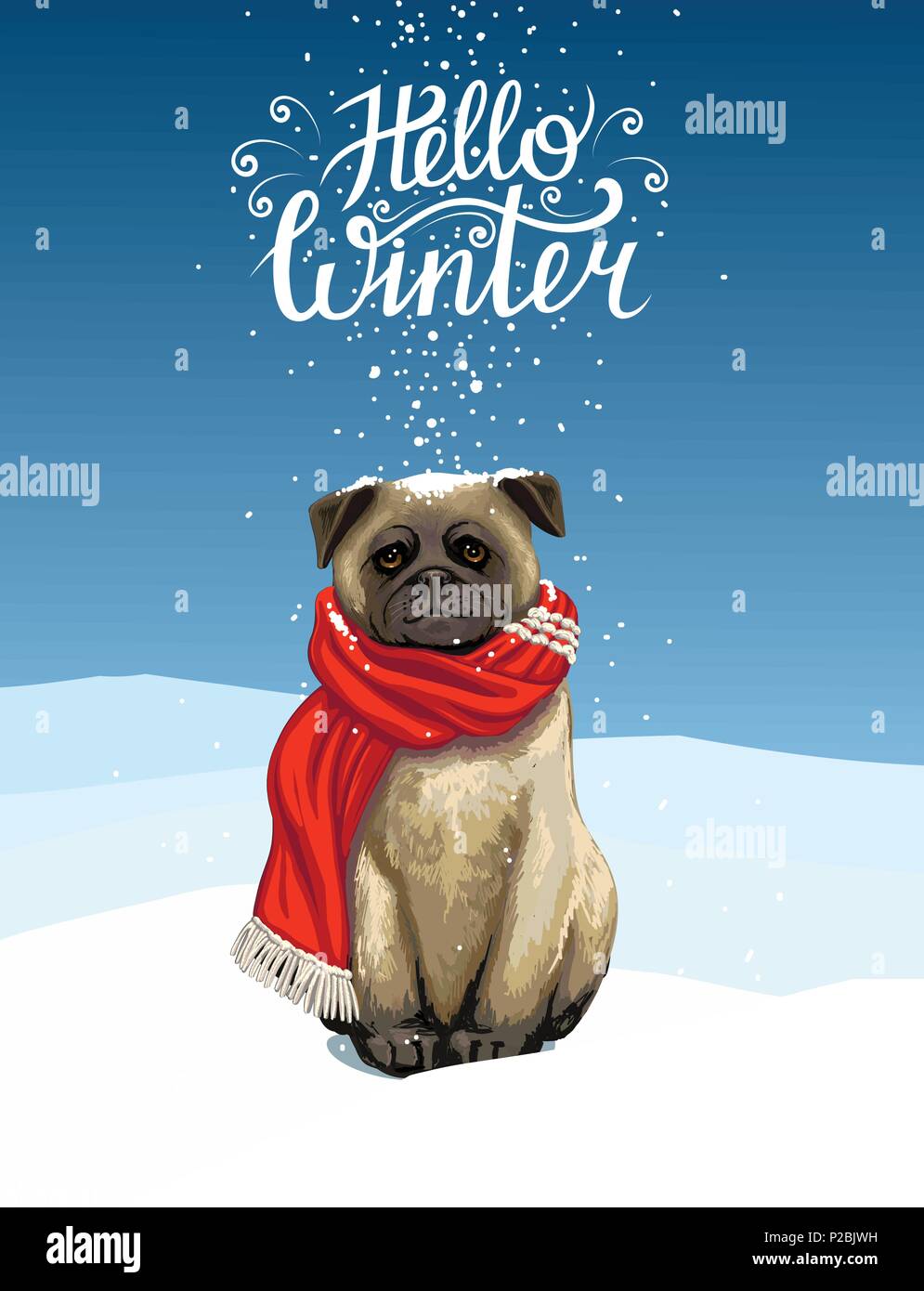 holiday winter card with a pug. lettering "hello winter". Vector ...
