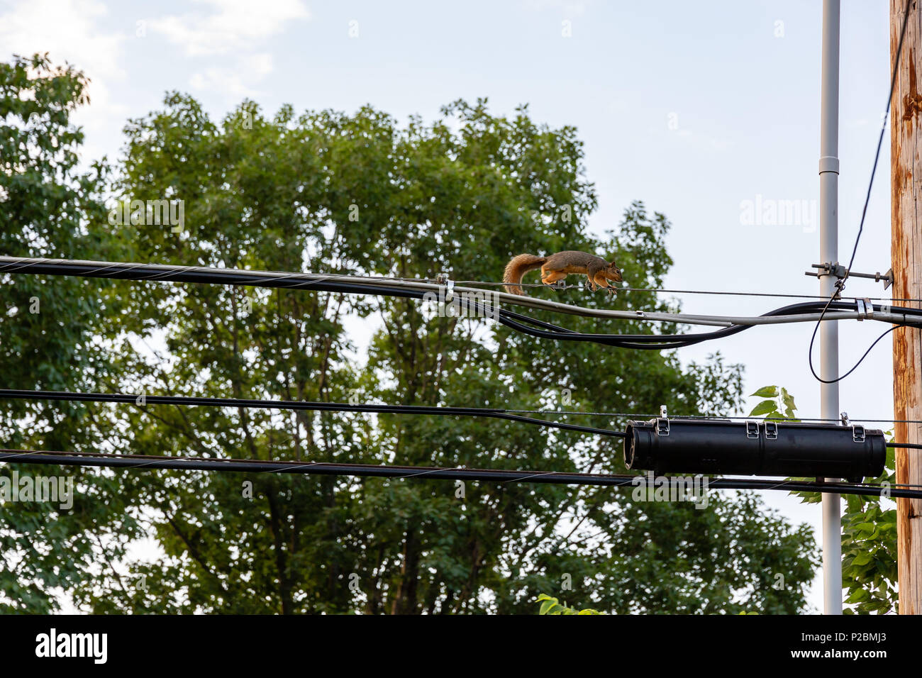 High wire hi-res stock photography and images - Alamy