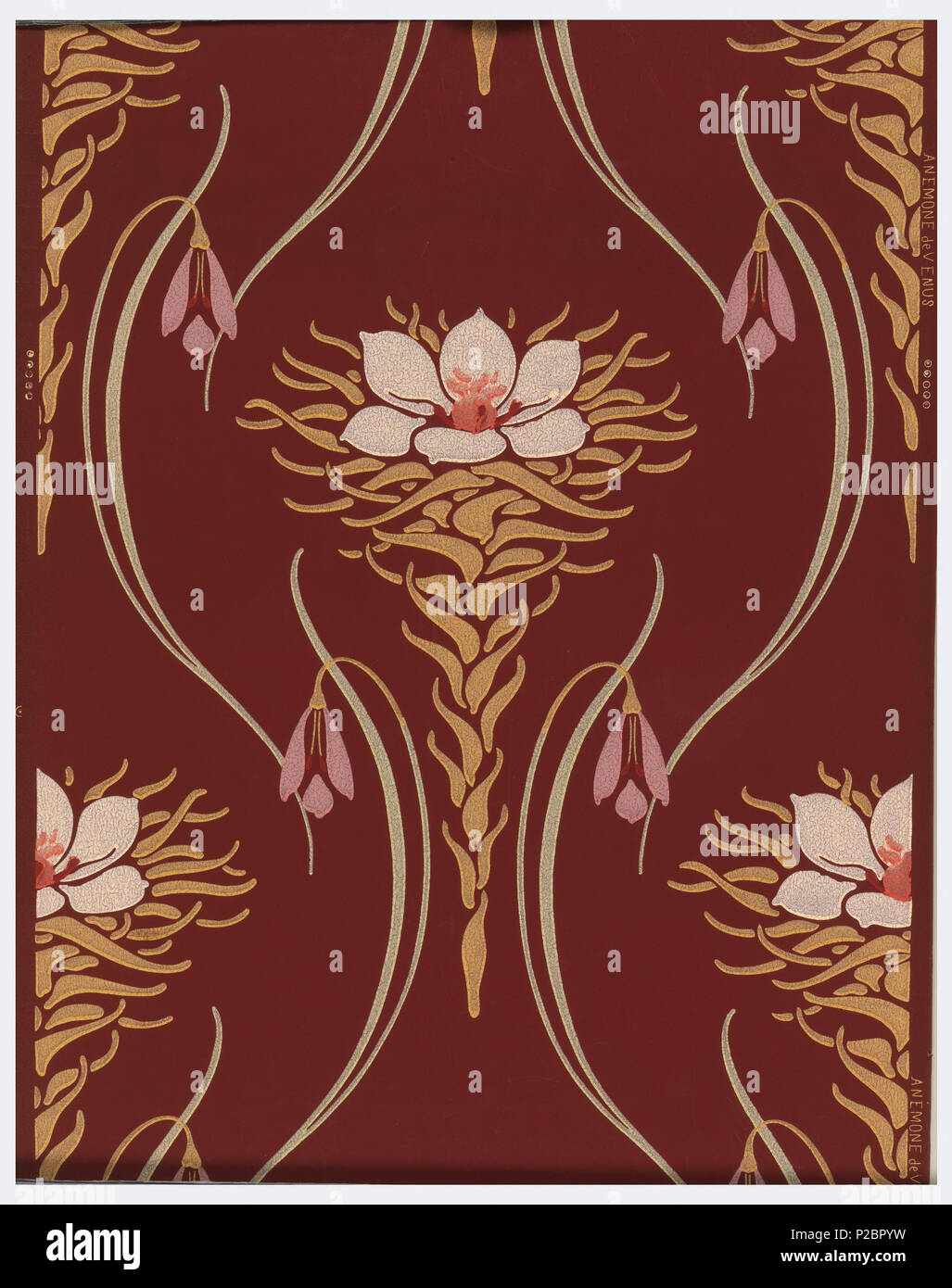 . English: Sidewall, Anemone de Venus, ca. 1910 . English: Stylized Art ...