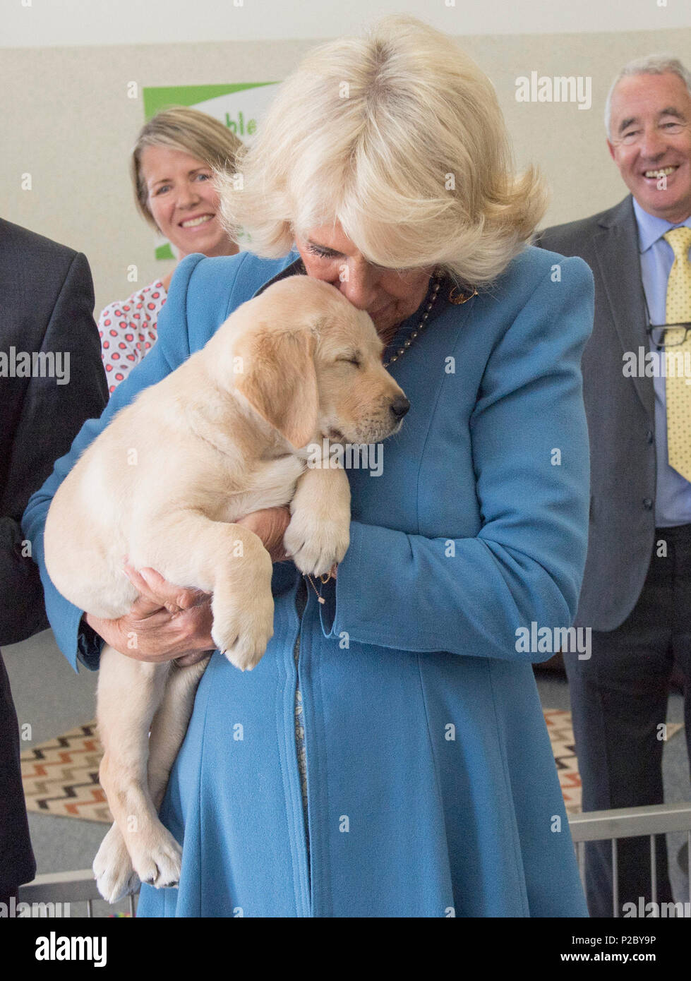 The Duchess of Cornwall holds an 8 week old Labrador puppy named Gretel ...