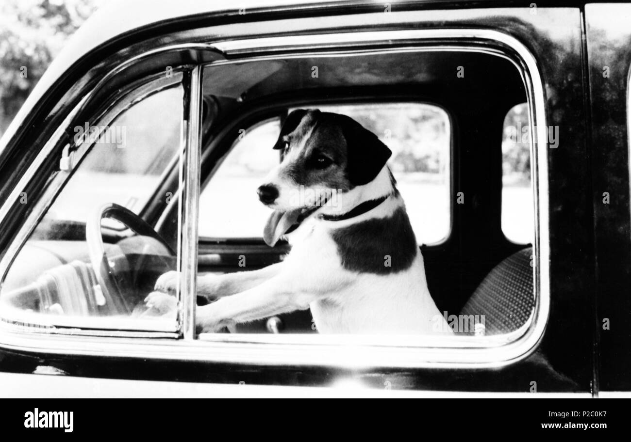 My dog skip Black and White Stock Photos & Images - Alamy