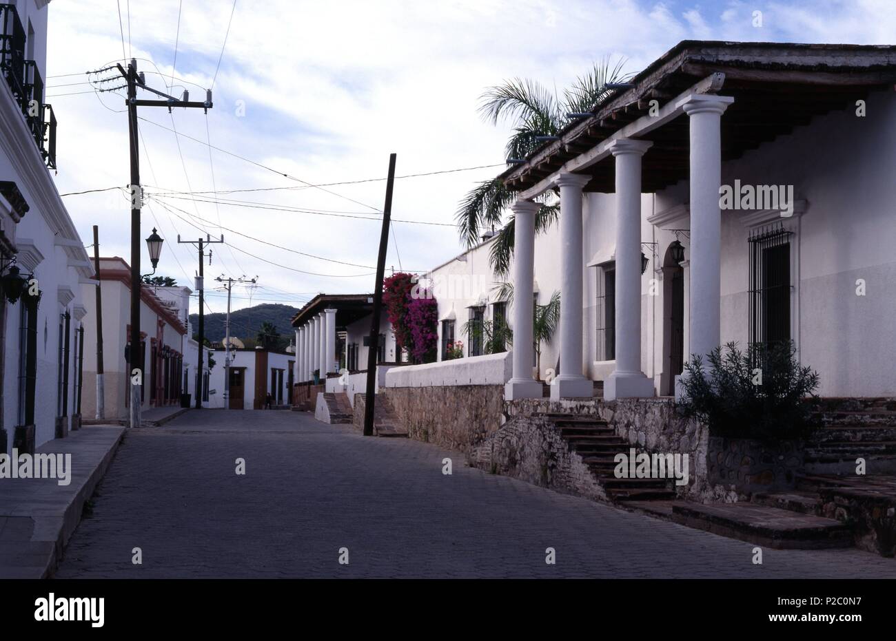Alamos sonora hi-res stock photography and images - Alamy
