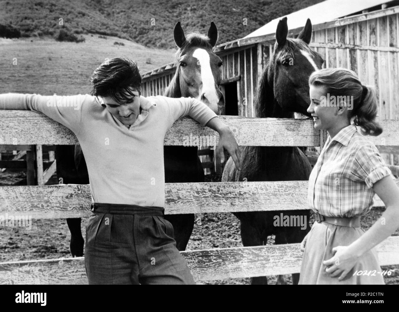 Dolores hart loving you elvis hi-res stock photography and images - Alamy