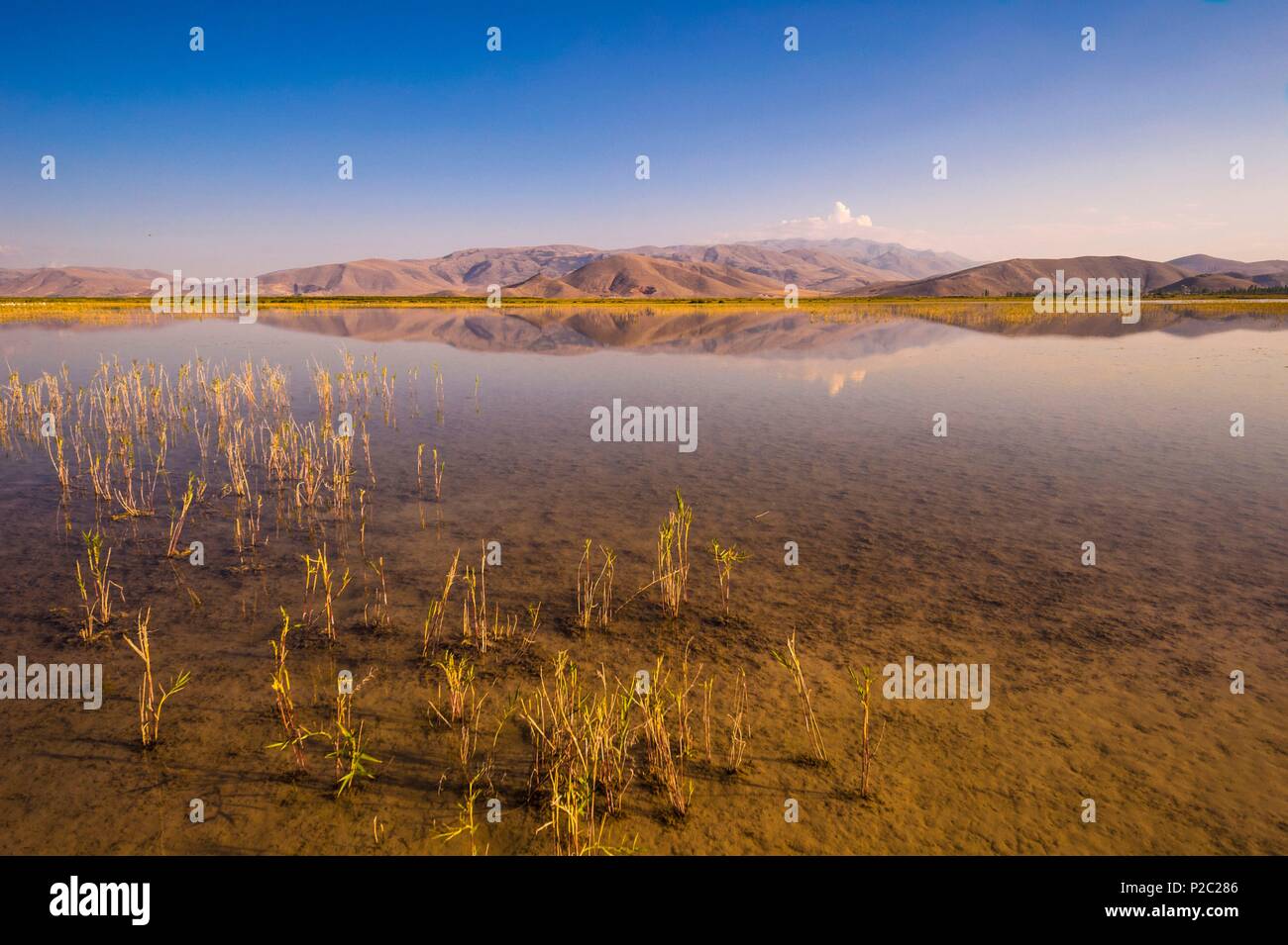 Turkey, Central Anatolia, Kayseri Province, Develi, Sultan Marsh ...