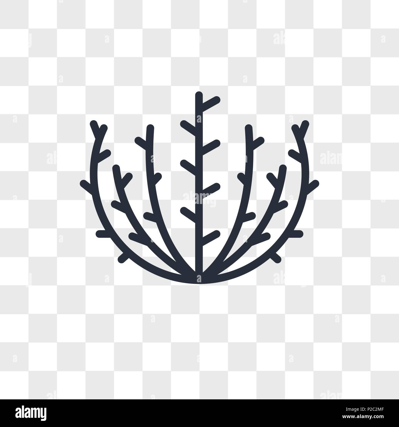 tumbleweed vector icon isolated on transparent background, tumbleweed ...