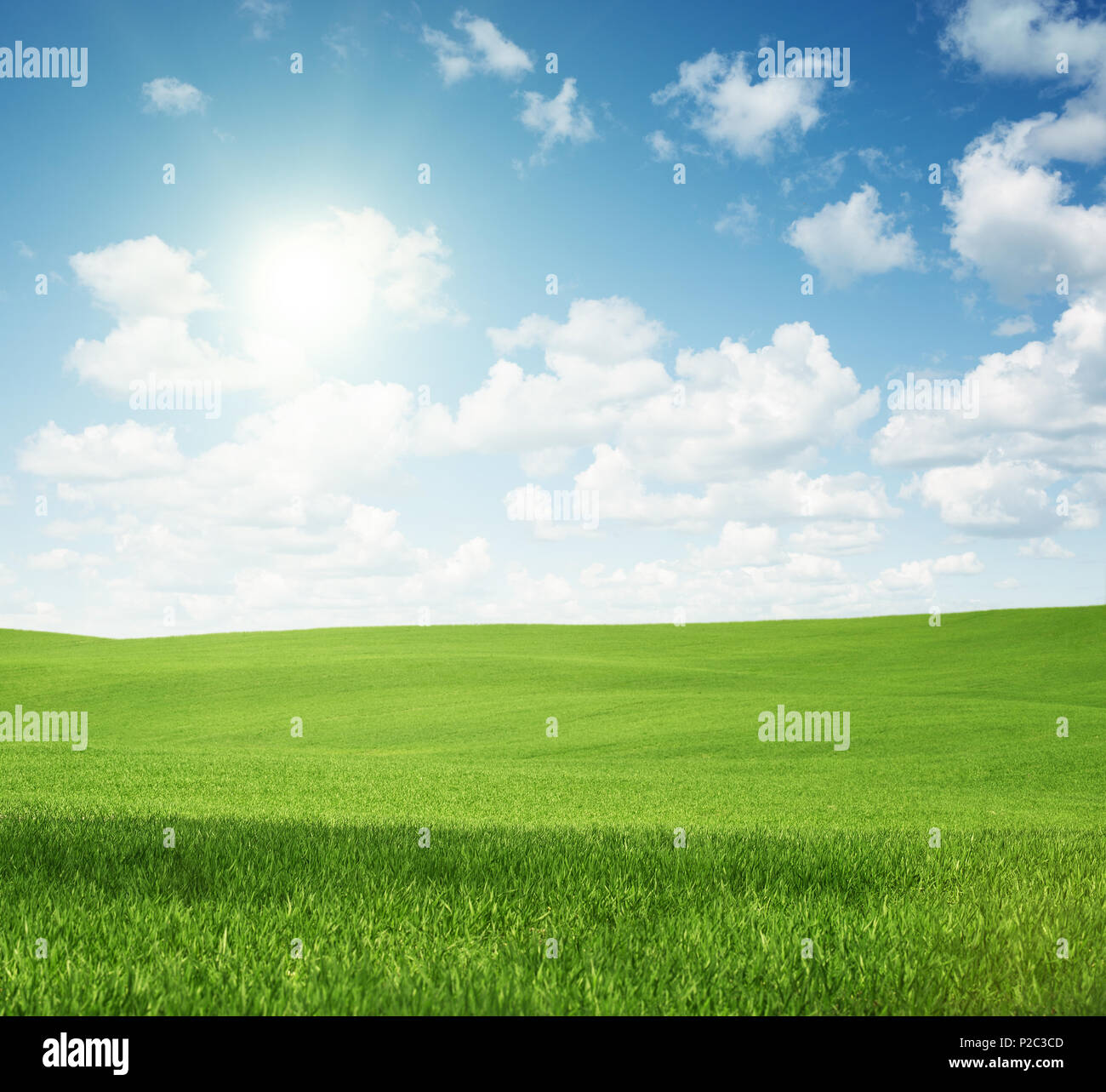 Empty green field hi-res stock photography and images - Alamy
