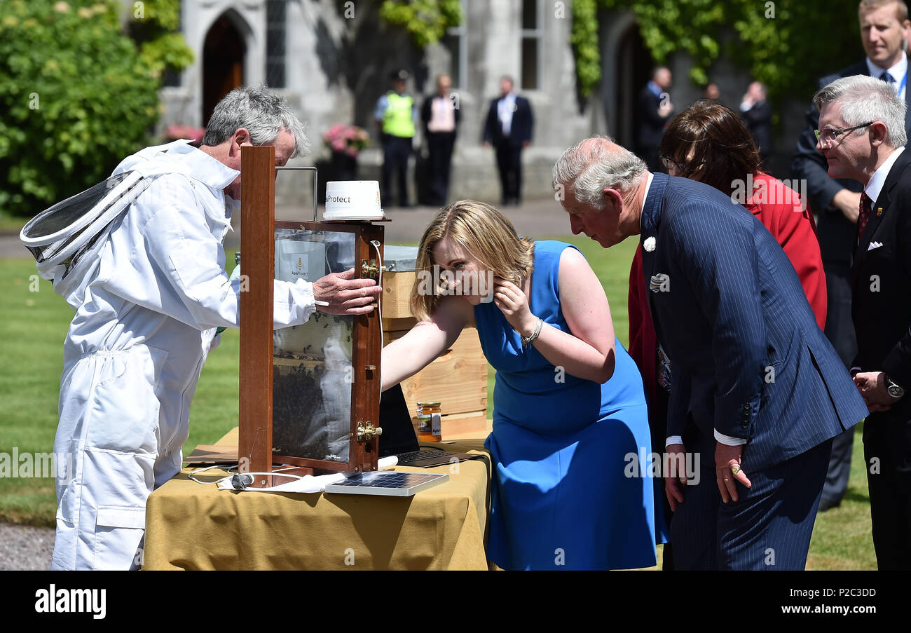 The Prince of Wales is shown a bee keeping demonstration by Fiona ...