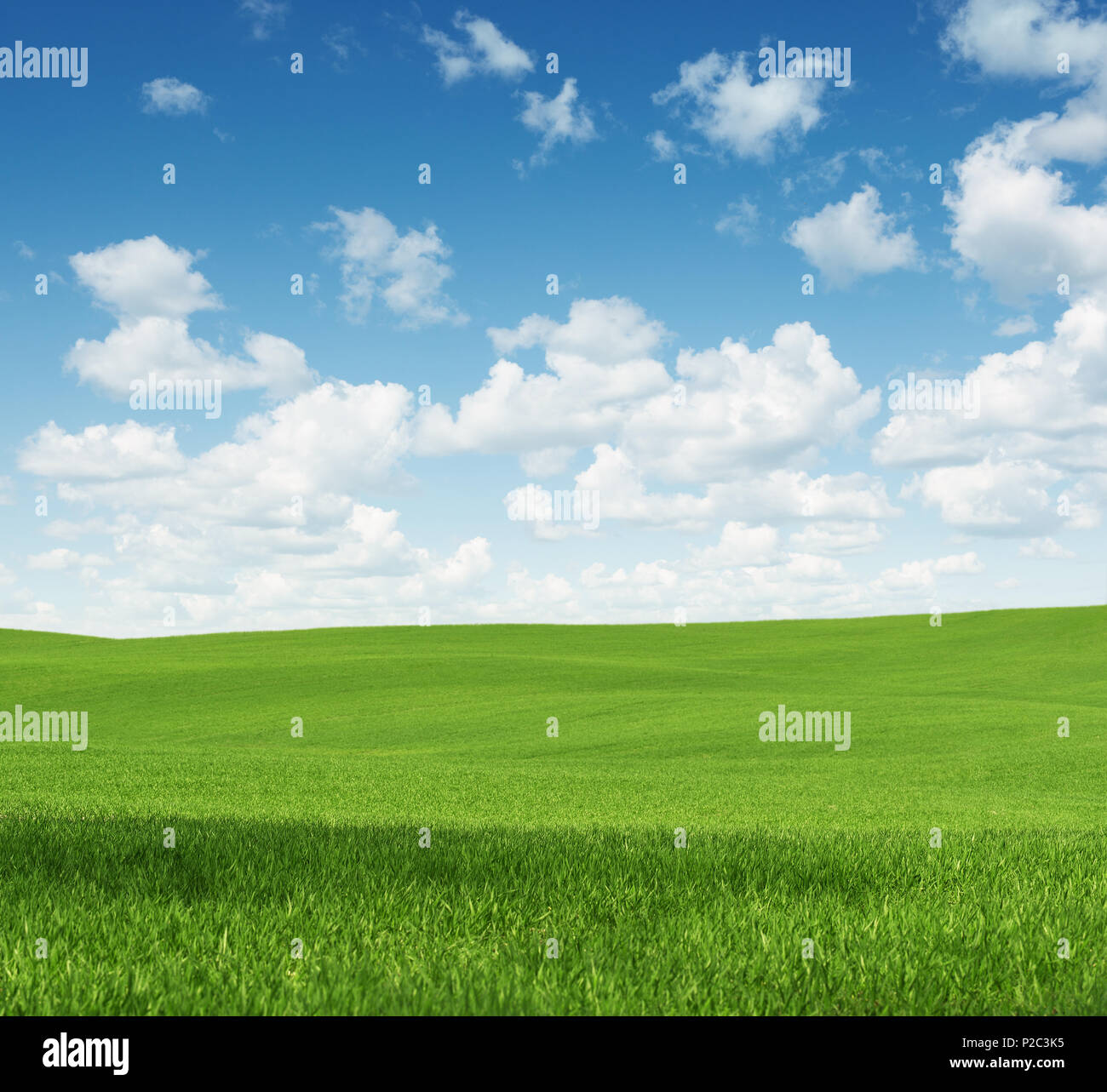 Empty green field hi-res stock photography and images - Alamy