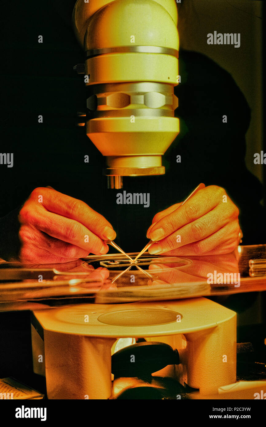 Nematode microscope hi-res stock photography and images - Alamy