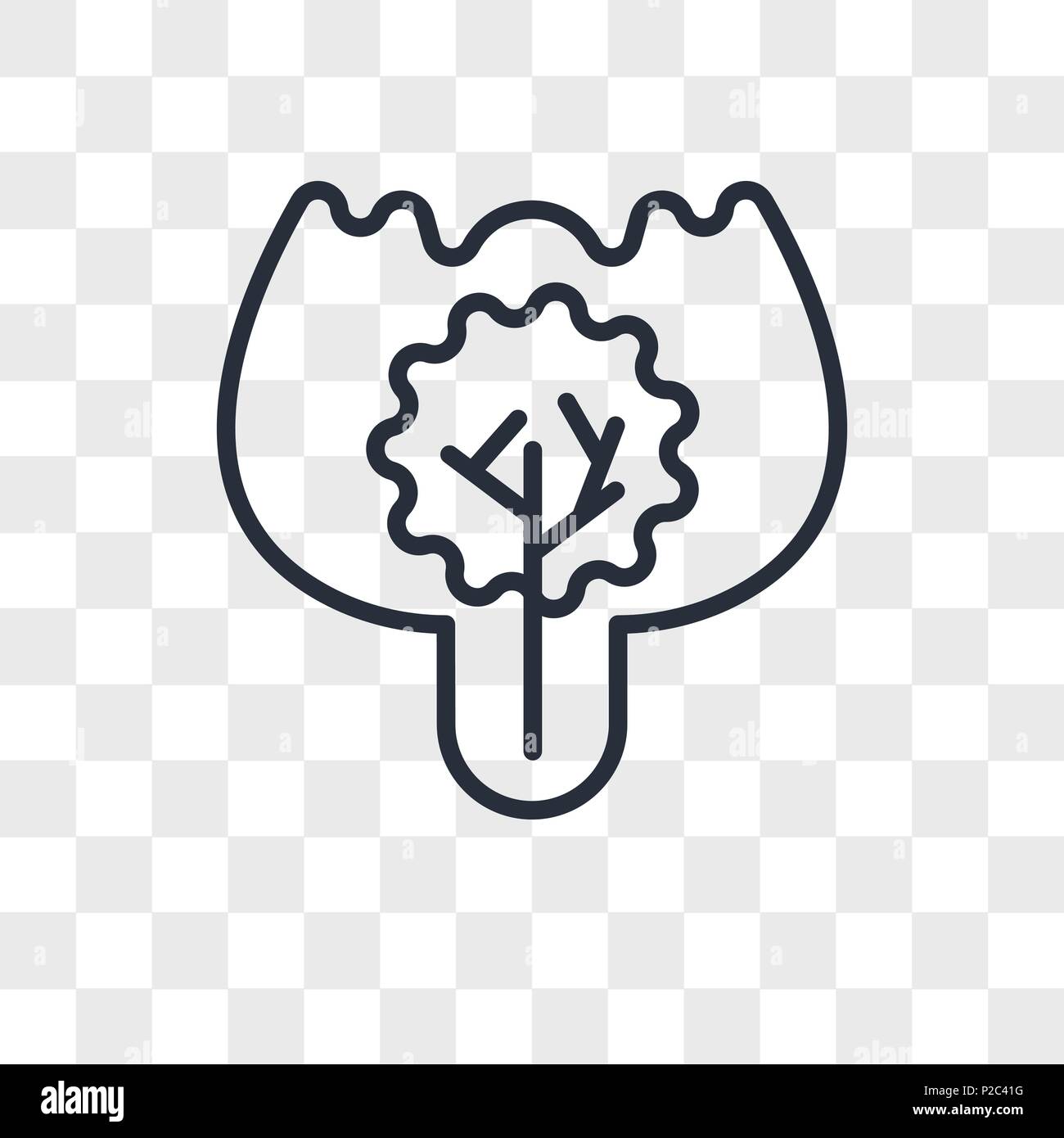 Bush fire on transparent hi-res stock photography and images - Alamy