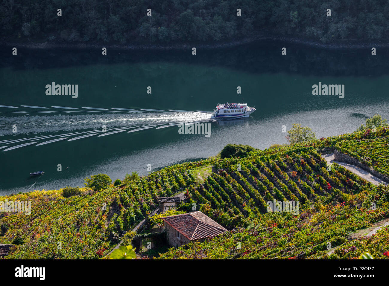 The tourist catamaran that sails the cannons of the River Sil, passes ...