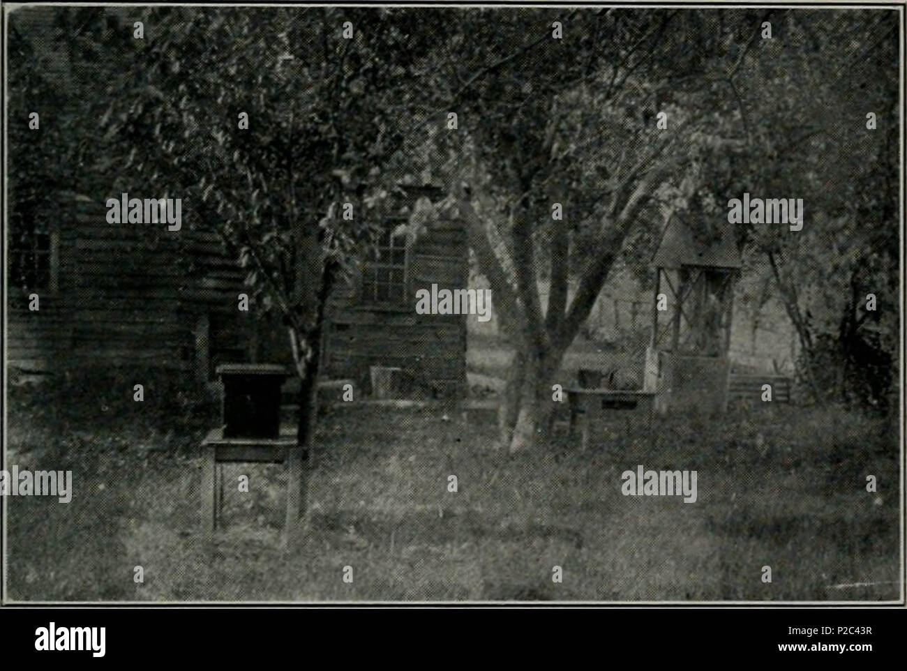 "The Frost genealogy : descendants of William Frost of Oyster Bay, New ...