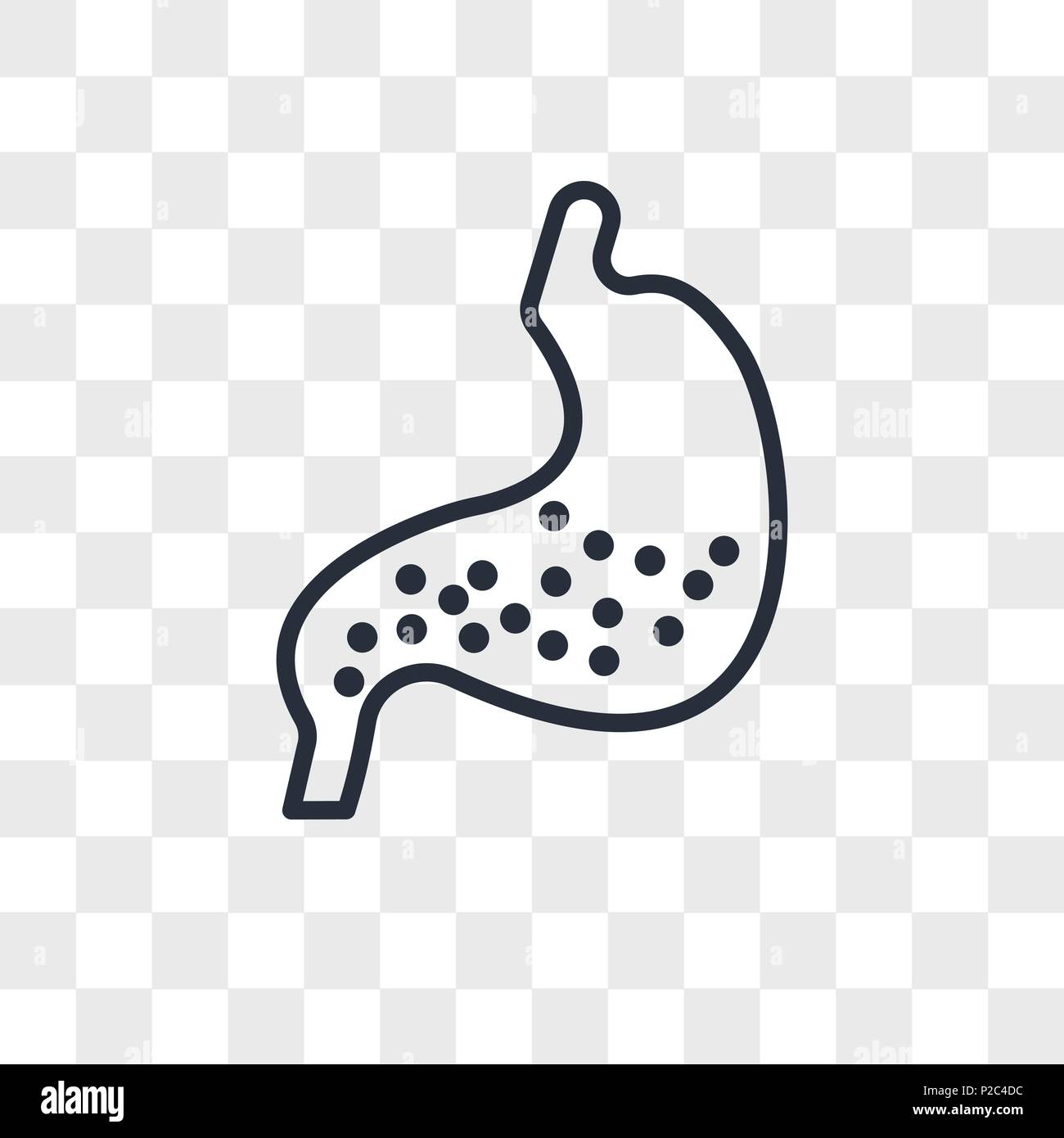 gut vector icon isolated on transparent background, gut logo concept ...
