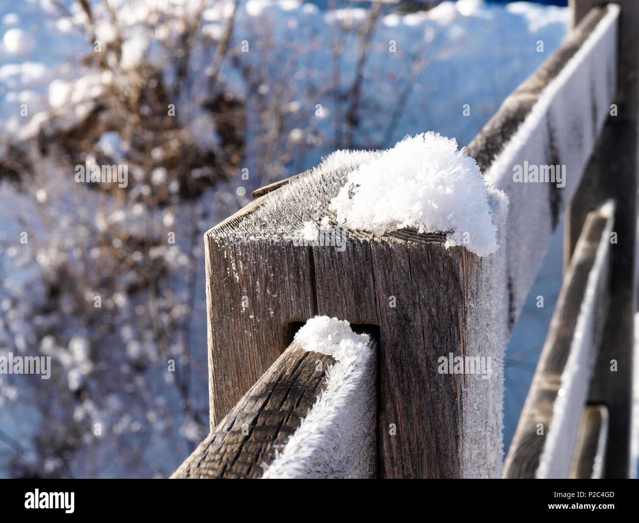 Savognin, Switzerland: Snow and frost with needles due to intense cold ...