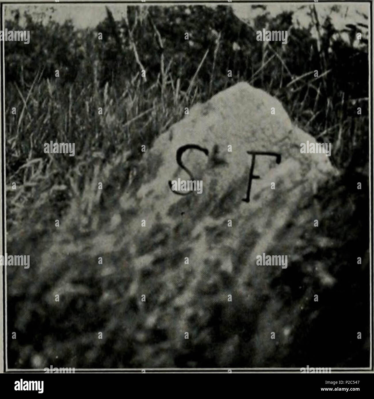 "The Frost genealogy : descendants of William Frost of Oyster Bay, New ...