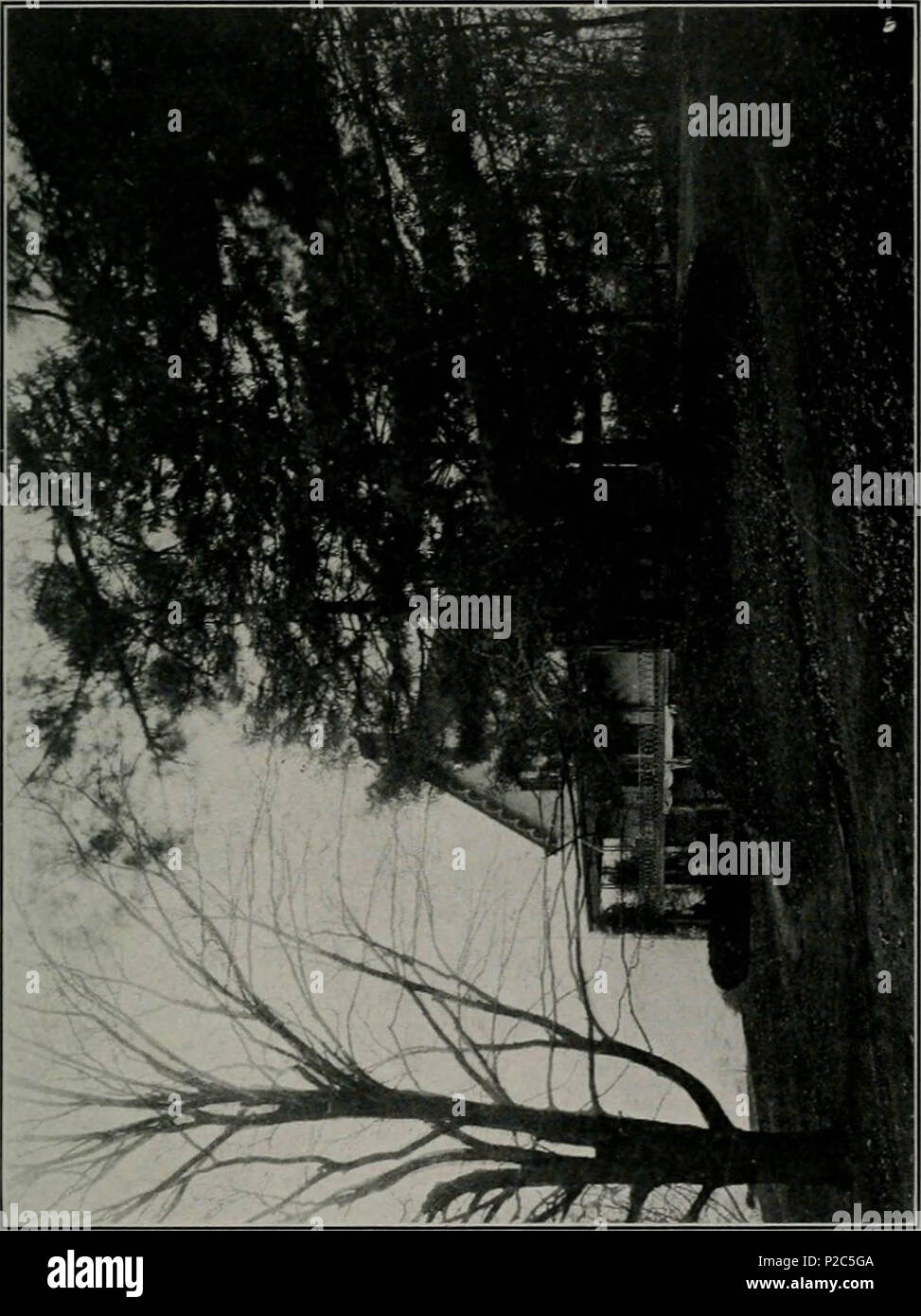 "The Frost genealogy : descendants of William Frost of Oyster Bay, New ...