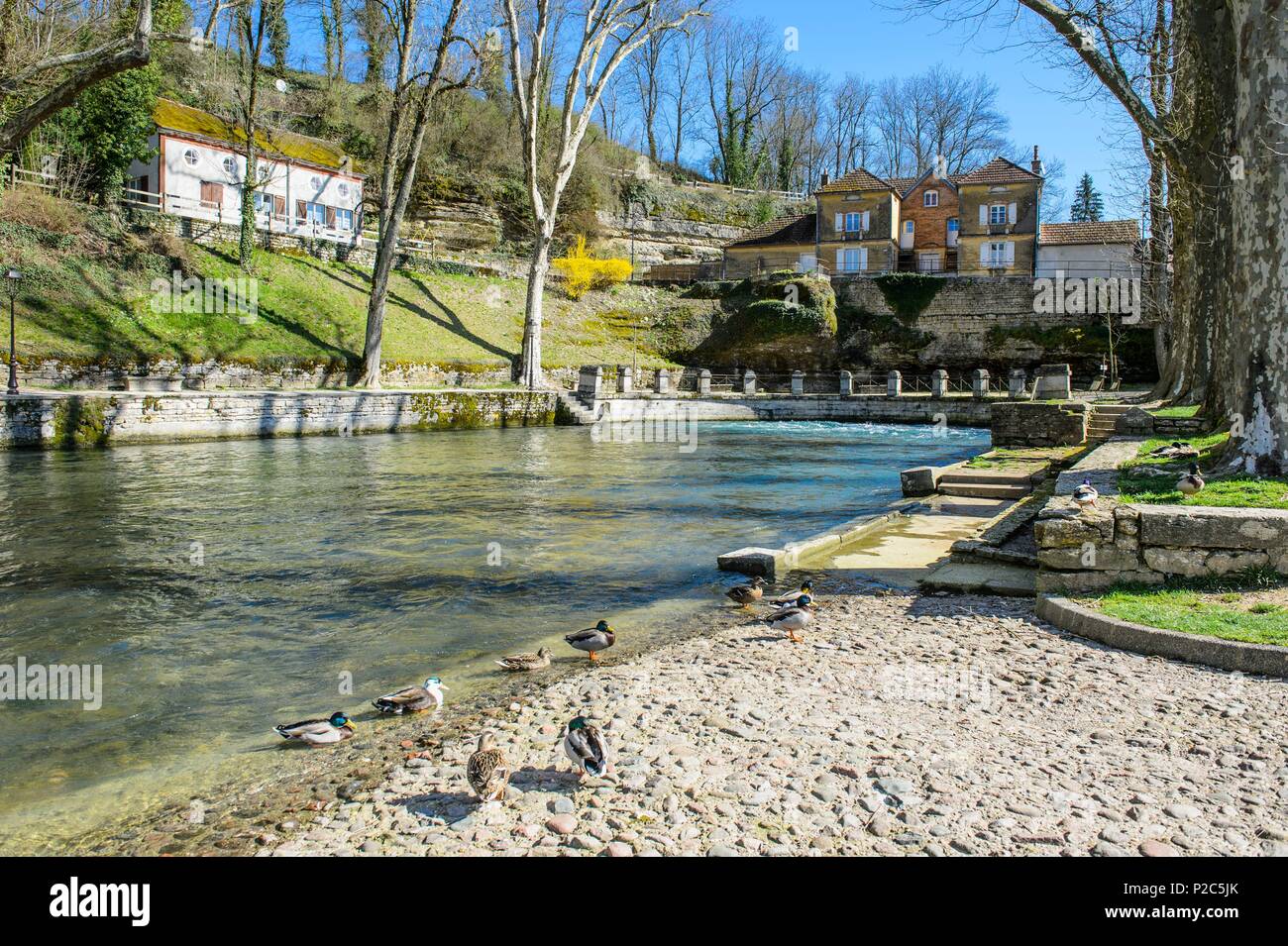 France, Cote-d'Or, Beze, Promenade de la Source around the resurgence ...