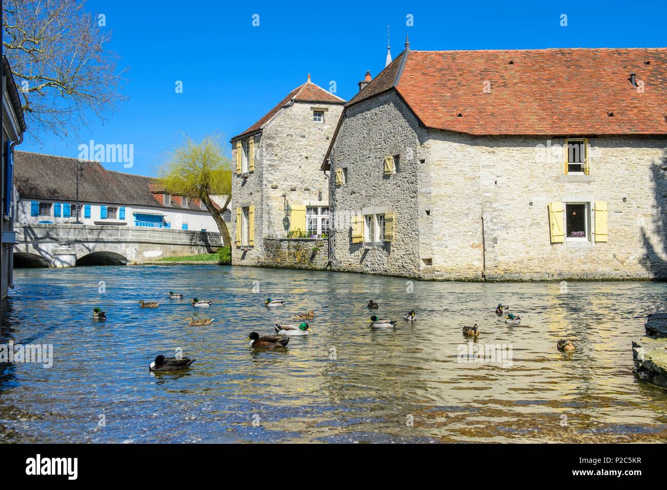 River beze hi-res stock photography and images - Alamy