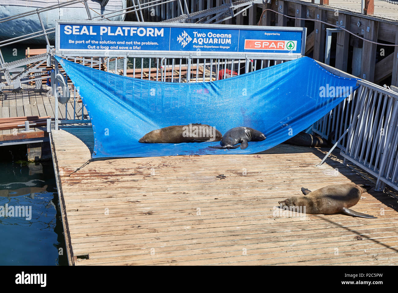 South africa tourist attractions hi-res stock photography and images ...