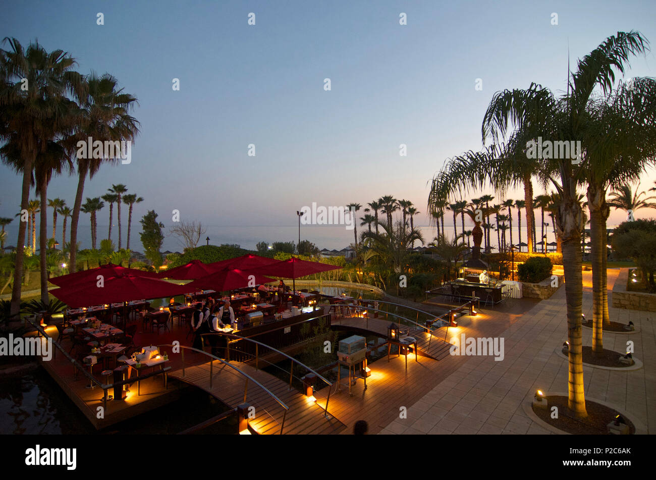 Palm tree is in cyprus hi-res stock photography and images - Alamy