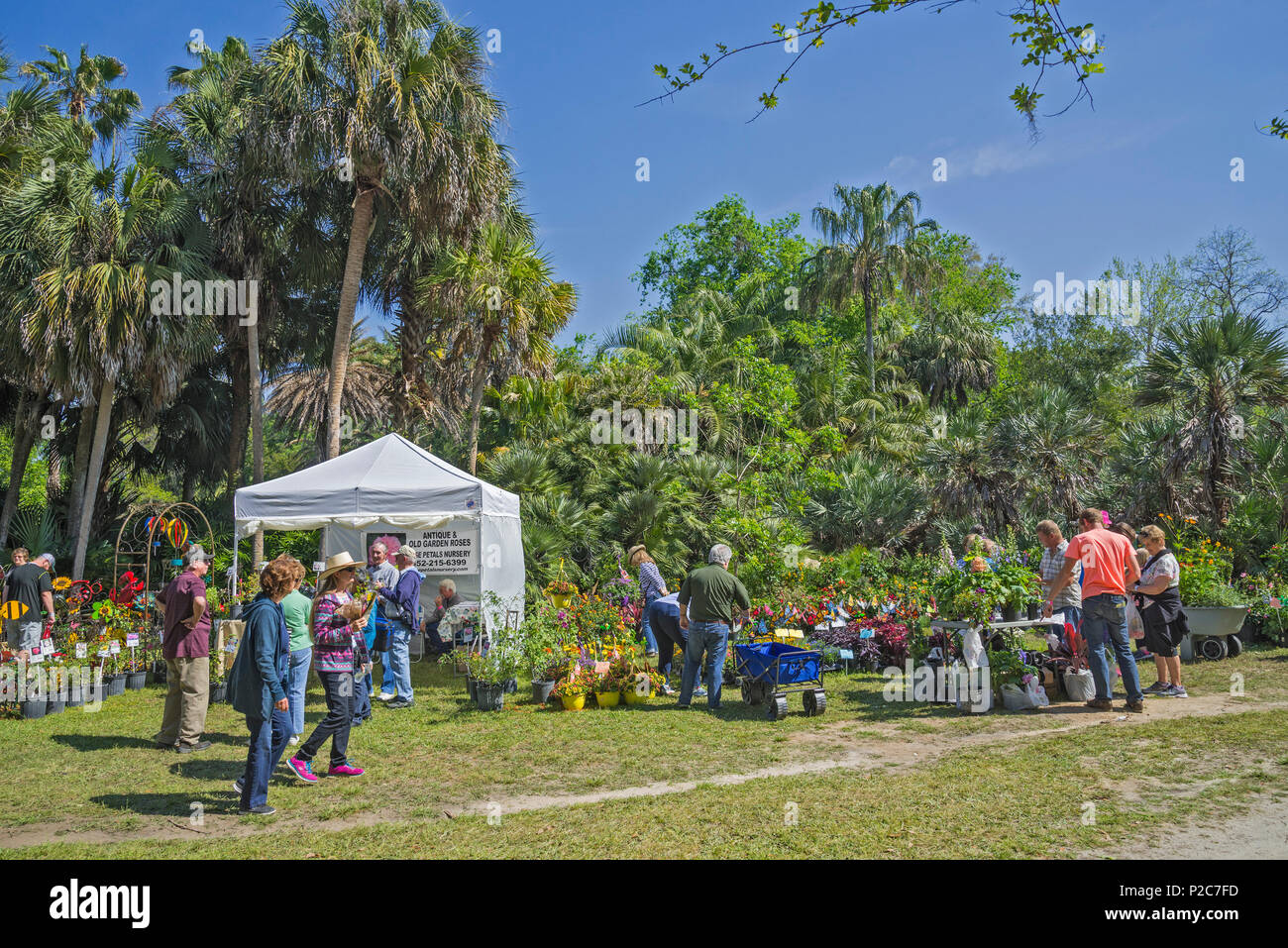 Spring Garden Festival in Gainesville, Florida Stock Photo - Alamy