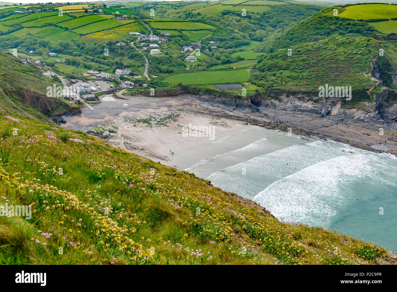 A section of the south west coast path at Crackington Haven north ...