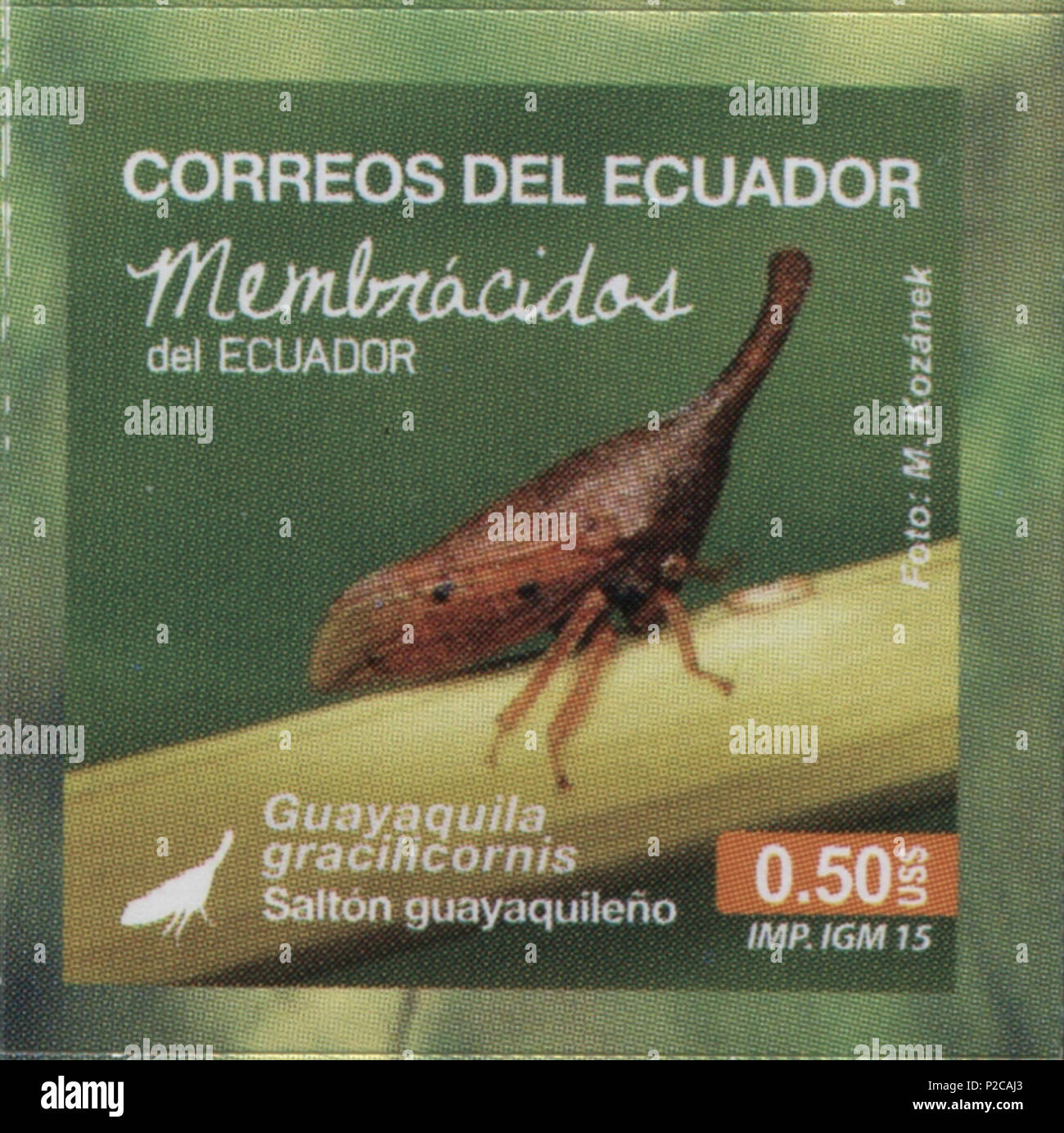 . English: Stamps of Ecuador, 2015 . 2015. Post of Ecuador 57 Stamps of ...