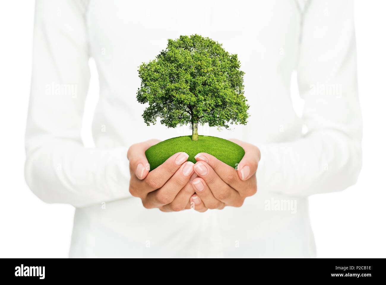 Human Safety Nature Conservation High Resolution Stock Photography and ...