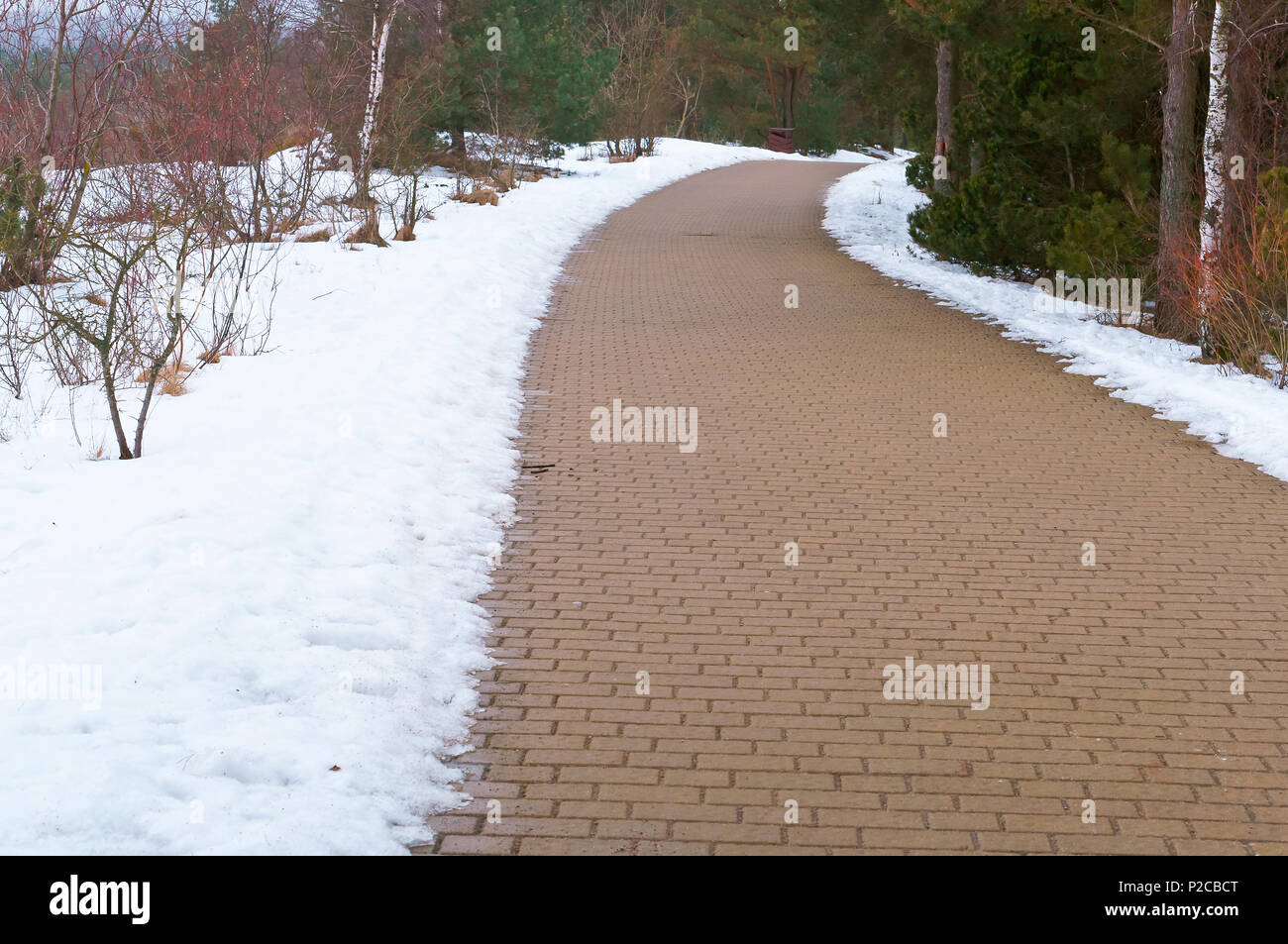 snow melted on the dirty side of the road, the path of paving slabs ...
