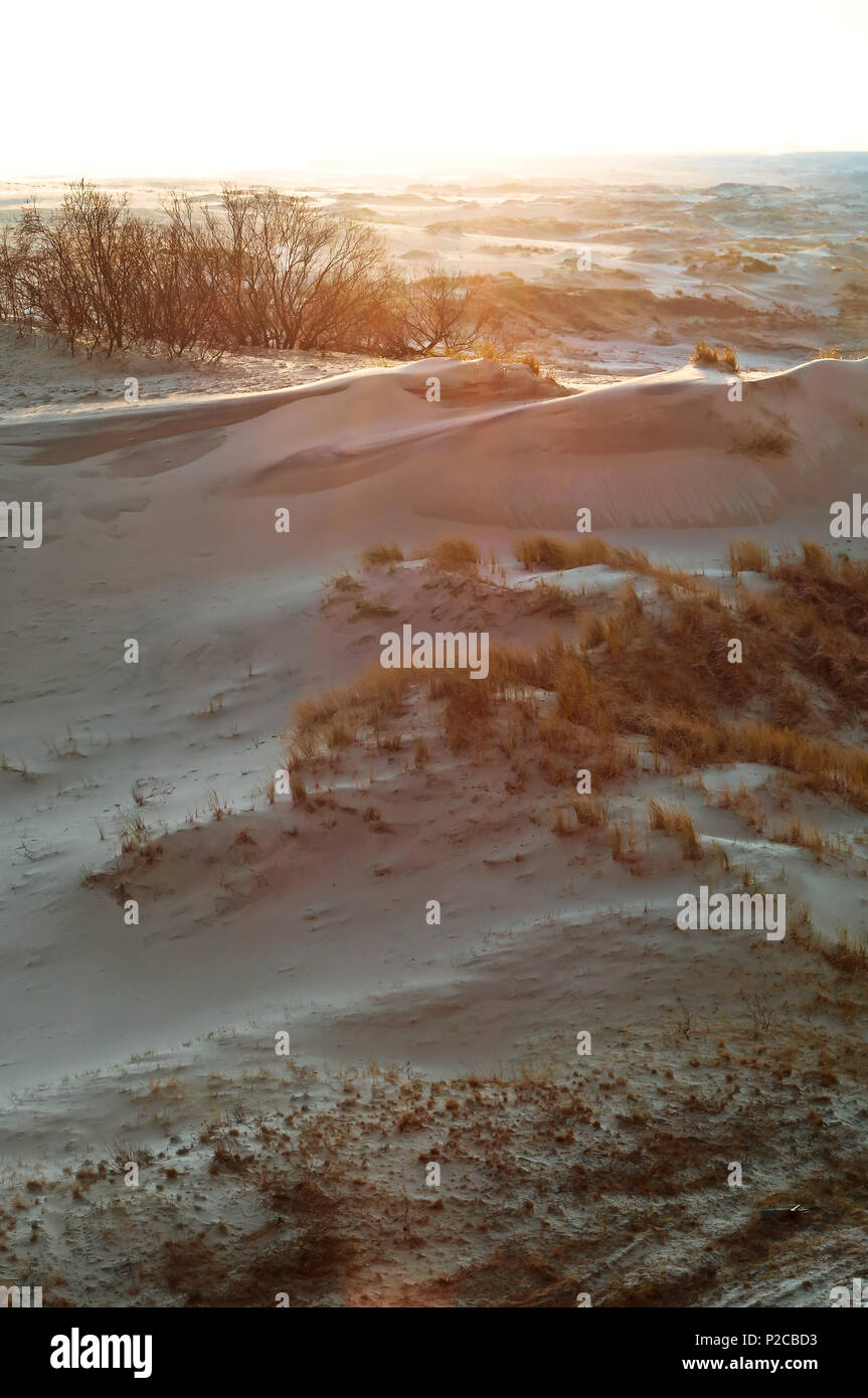 Panorama sea beach sand dunes hi-res stock photography and images - Alamy