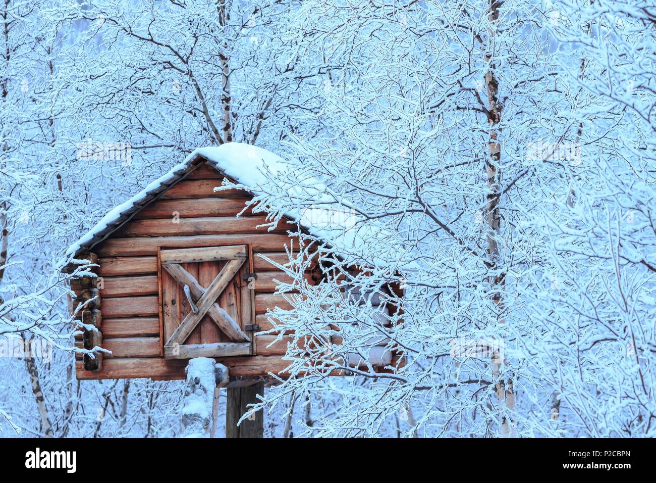 Sweden, Lapland, region listed as World Heritage by UNESCO, Norrbotten ...