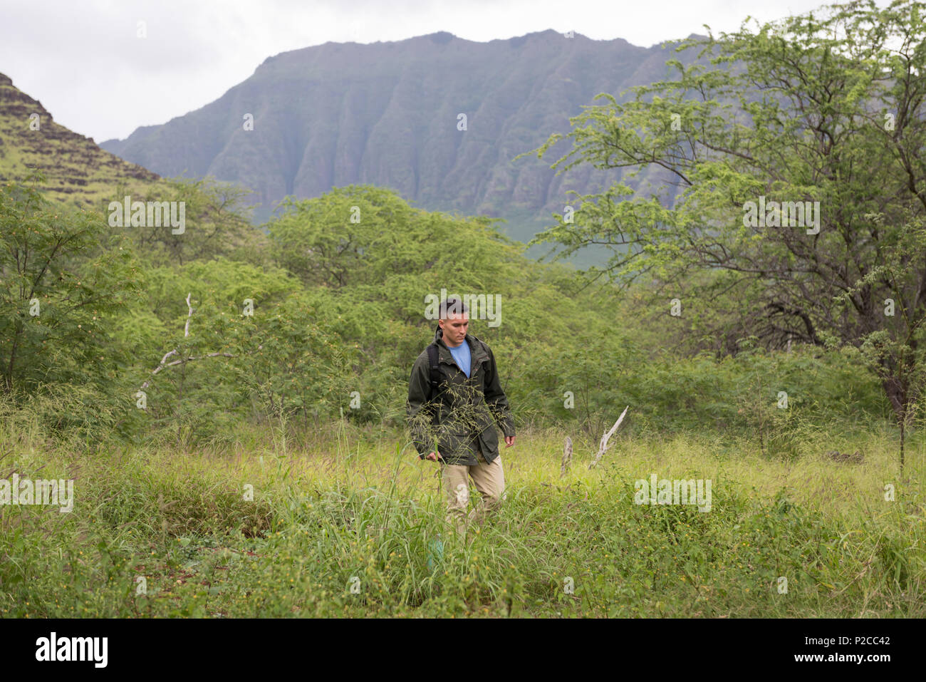 Man walking in countryside Stock Photo - Alamy