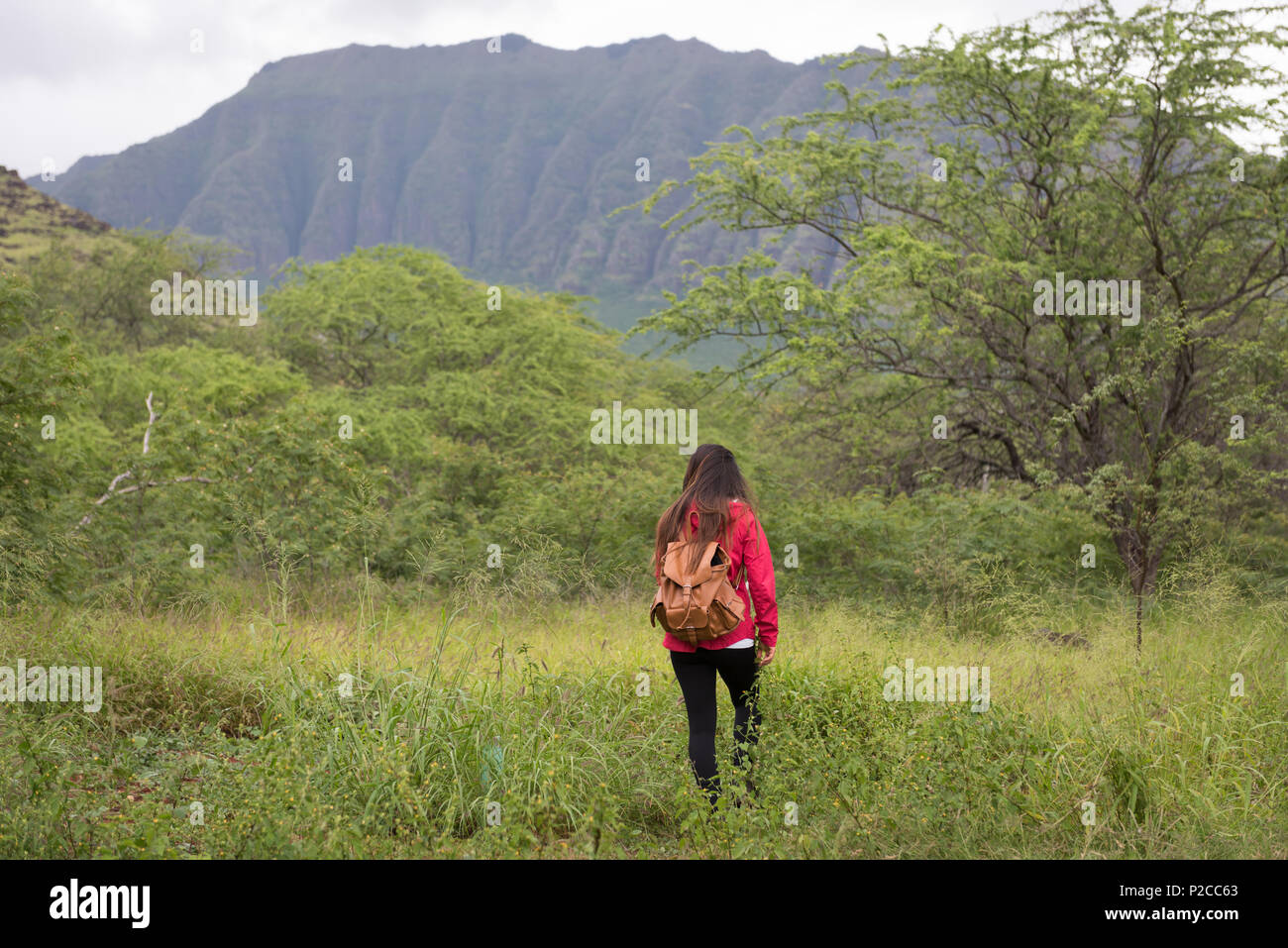 Countryside activity hi-res stock photography and images - Alamy
