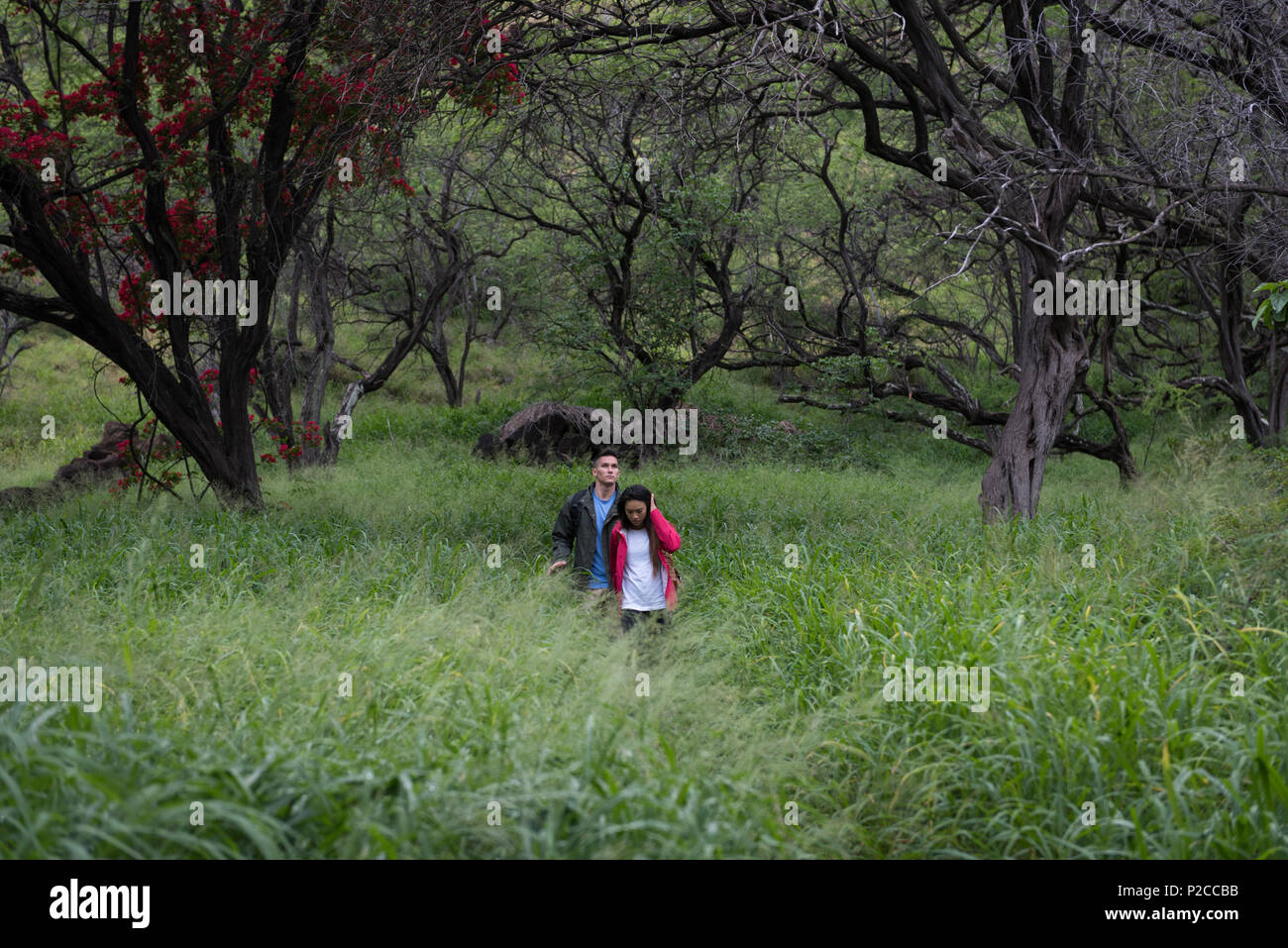 Couple walking together in countryside Stock Photo - Alamy