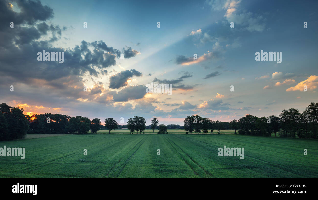 German countryside hi-res stock photography and images - Alamy