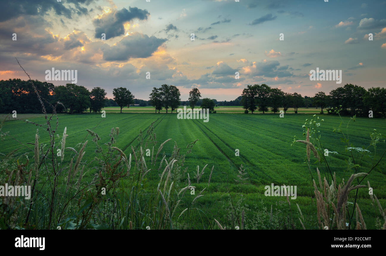 German countryside hi-res stock photography and images - Alamy