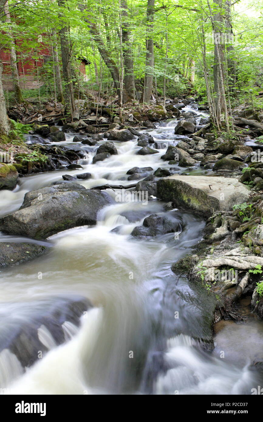 Beautiful forest stream with trees and rapids Stock Photo - Alamy