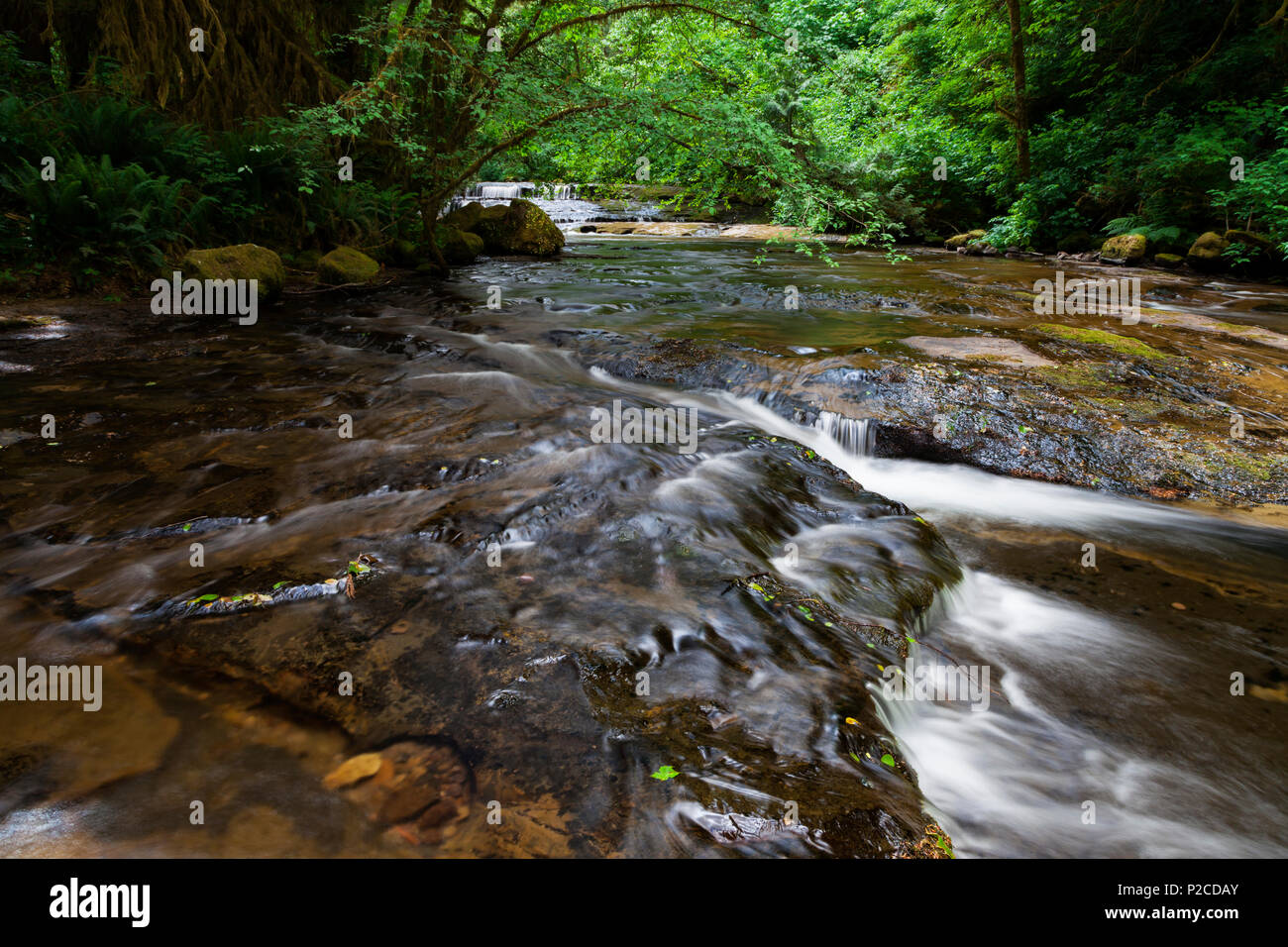 One of the many cascades and waterfalls along Sweet Creek in Oregon's ...